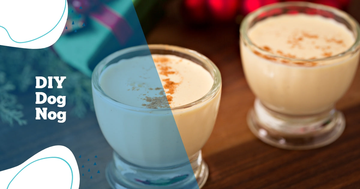 DIY Dog Nog For The Holiday Season – Nuesta Pets