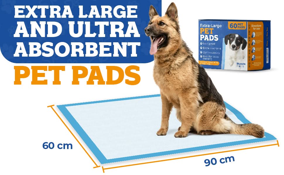 Extra Large Pee Pads – Nuesta Pets