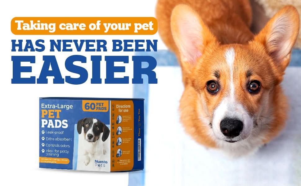 Extra Large Pee Pads – Nuesta Pets