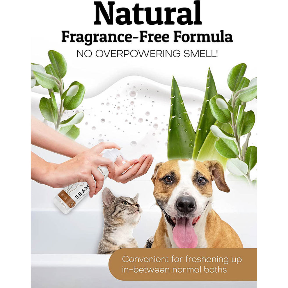 Waterless No Rinse Foaming Dog & Cat Shampoo | Nuesta Pets
