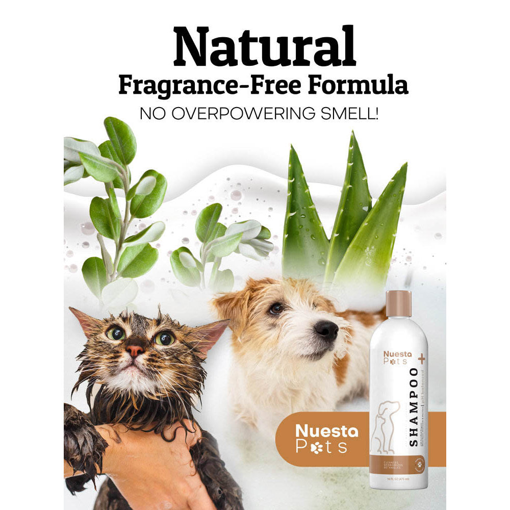 Best pH Balanced Unscented Pet Shampoo for Dogs and Cats | Nuesta Pets